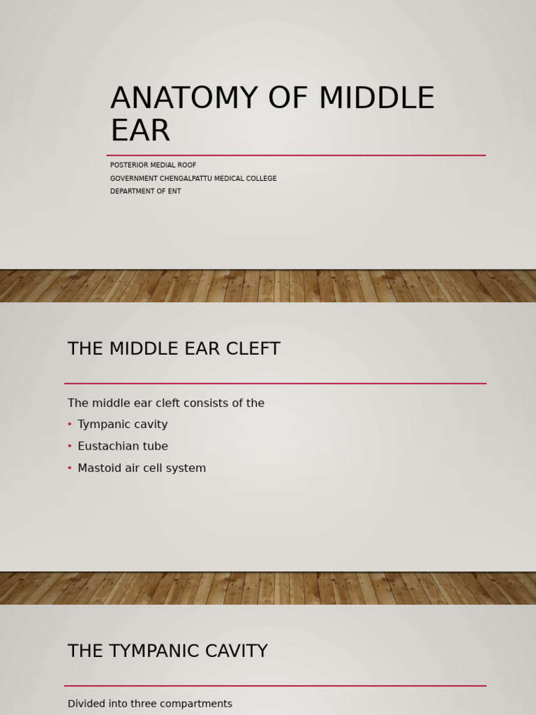 Middle Ear Anatomy Posterior Medial Roof | PDF | Ear | Otorhinolaryngology