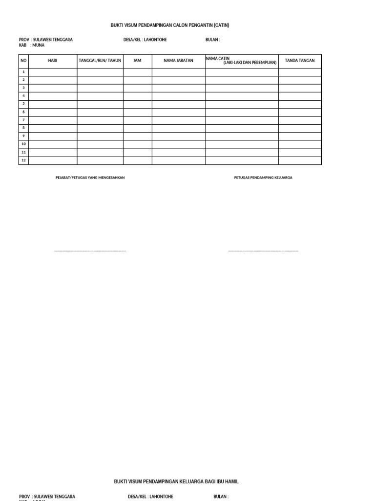 NEW FORM PENDAMPINGAN VISUM BUMIL, CATIN, NIFAS & BALITA | PDF