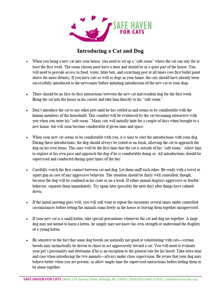 Handout-Introducing-a-Cat-and-Dog | PDF | Cats | Dogs