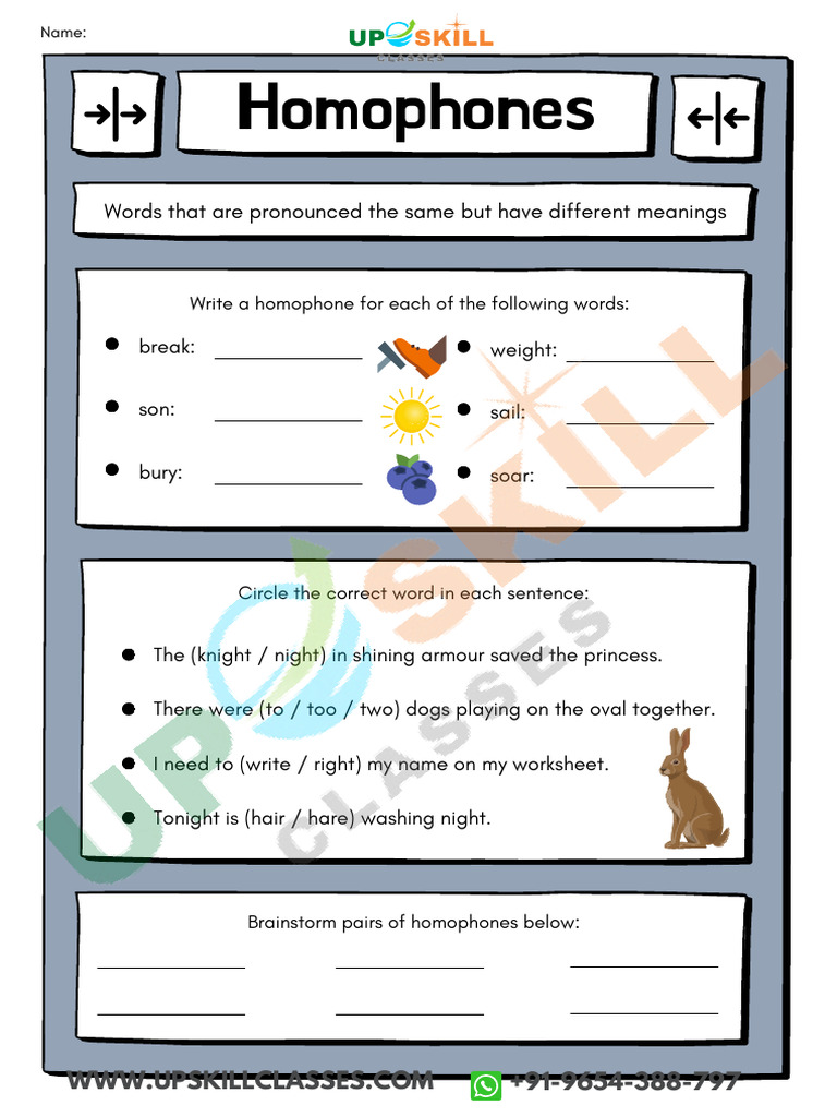 Homophones Practice Exercises | PDF