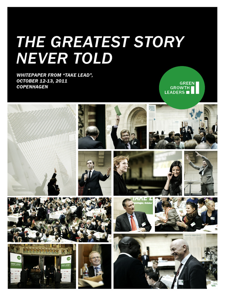 Take-Lead-Whitepaper | PDF | Wind Power | Sustainability