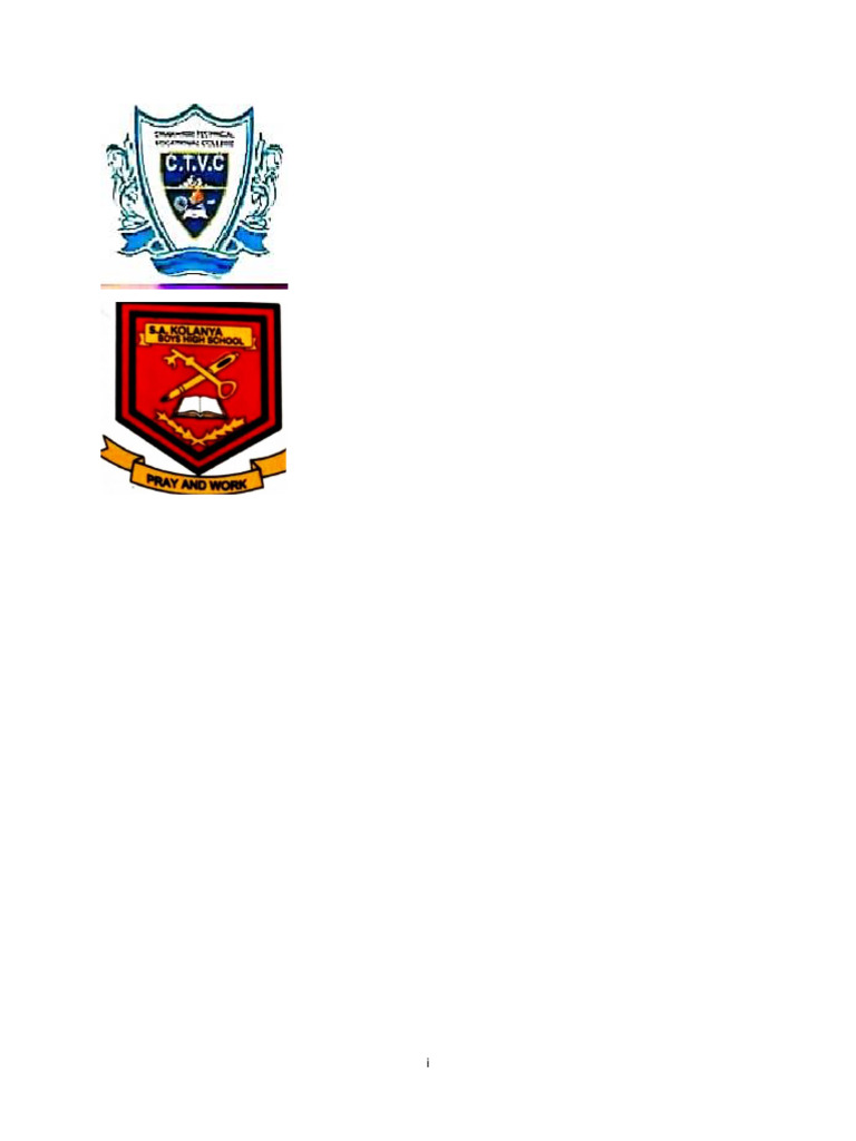 Silivia Report | PDF