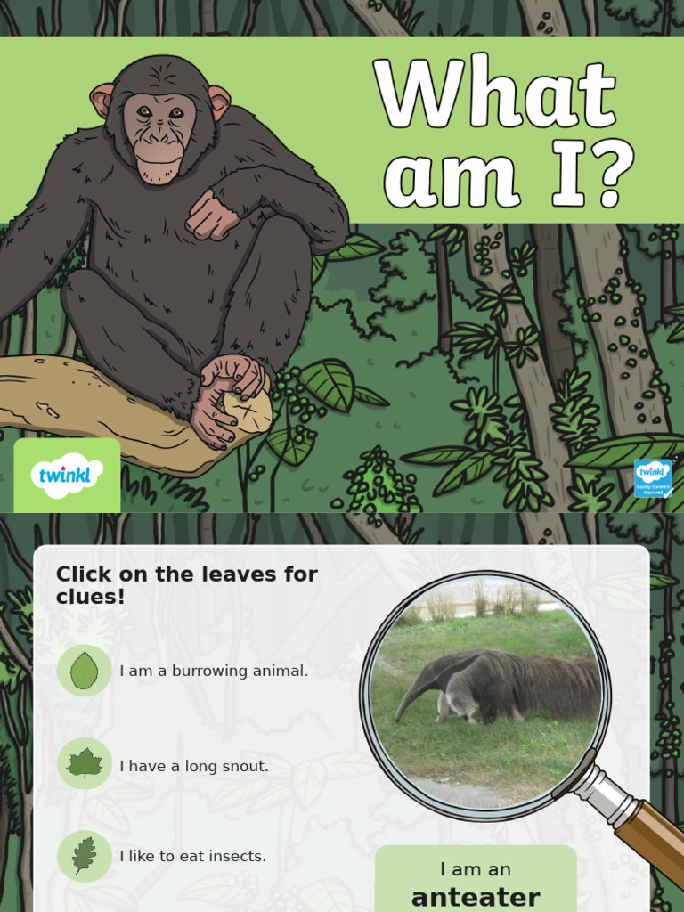 T T 8475 Jungle Animals What Am I Interactive Powerpoint Game 2 Ver 6 ...