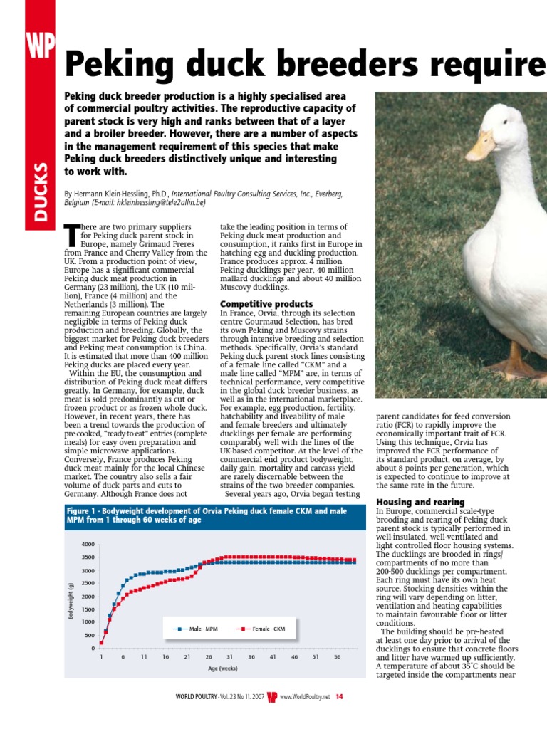 Peking Duck Breeding and Production Insights | PDF | Science & Mathematics