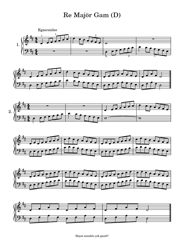 Re Majör Gam (D) | PDF