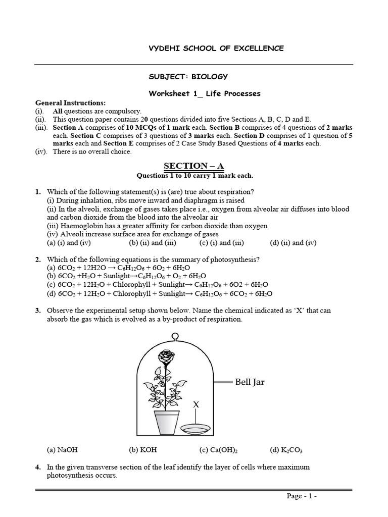 Revision Worksheet - Unit 1 - Life Process - January | PDF | Digestion ...