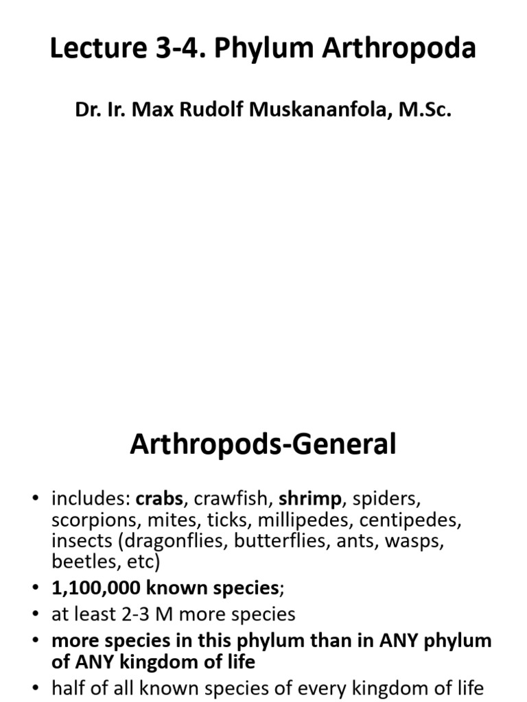 Lecture 3-4-Phylum Arthropoda | PDF | Zoology | Arthropods
