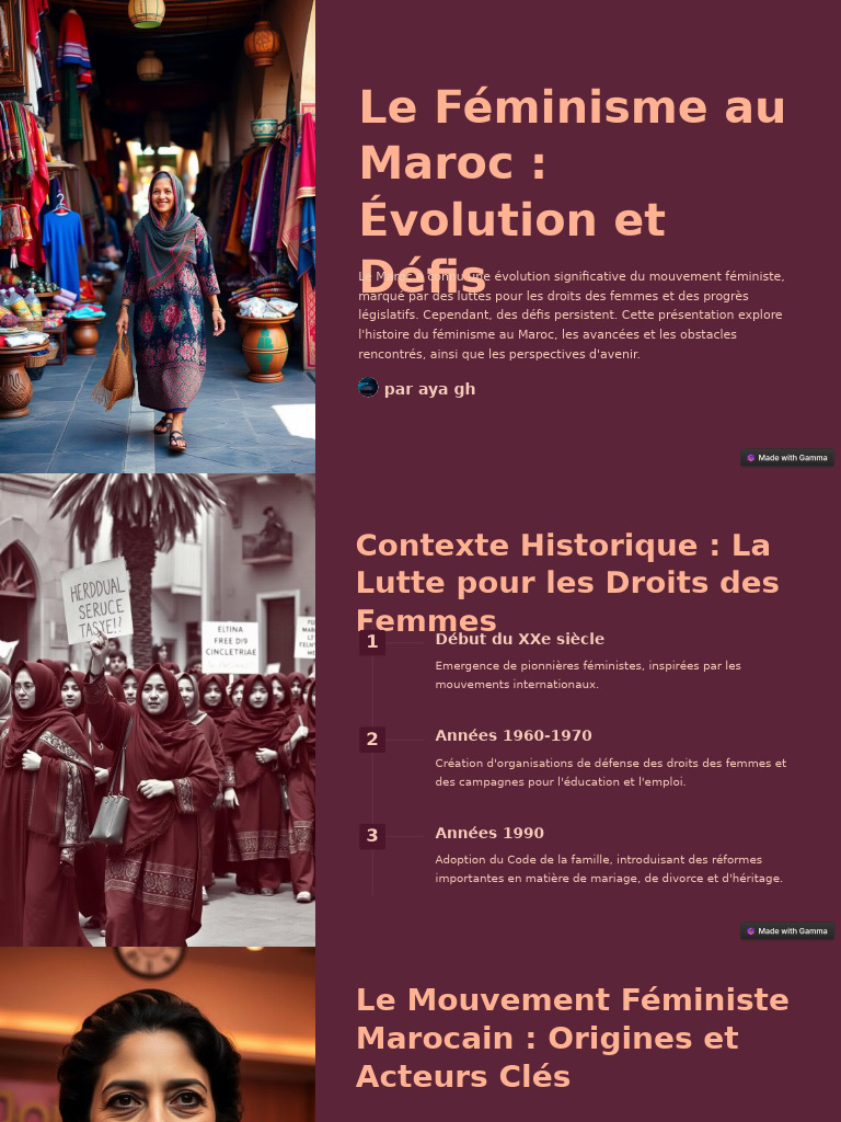 Le Feminisme Au Maroc Evolution Et Defis | PDF | Études des genres ...