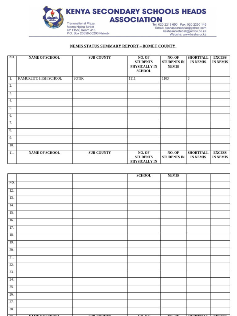 Nemis Status Summary Template - Bomet | PDF