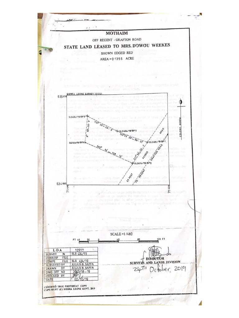 Files - 20233734 - Survey Plan | PDF