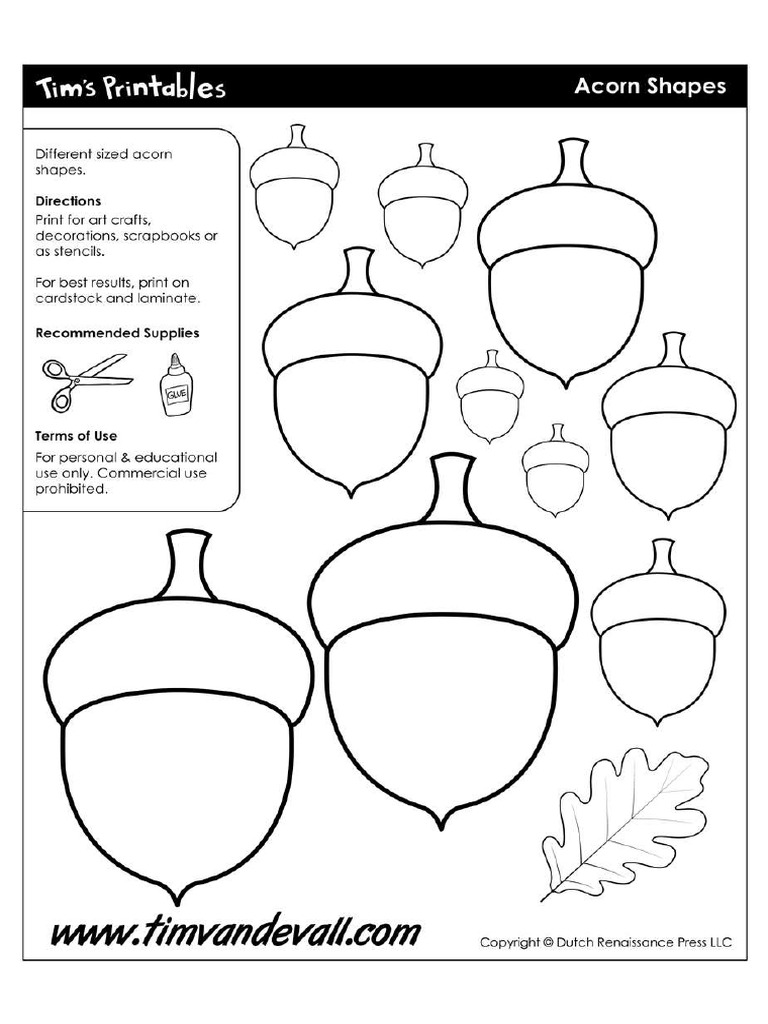 Acorn Shapes1 | PDF