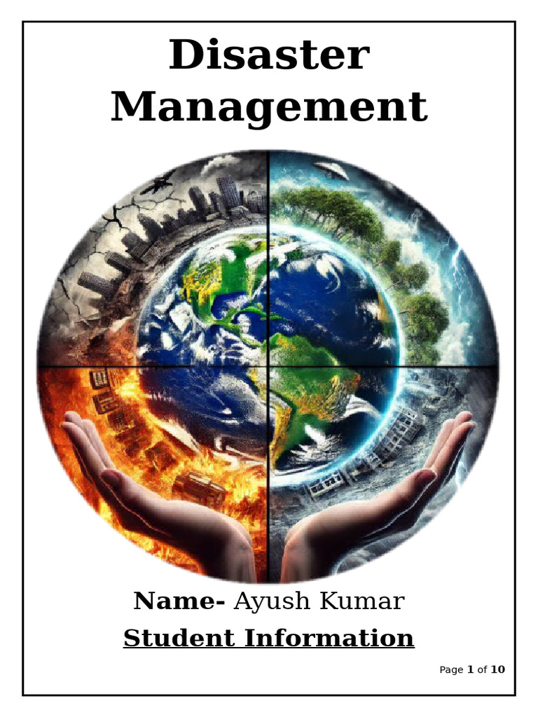 Effective Disaster Management Strategies | PDF | Natural Disasters ...