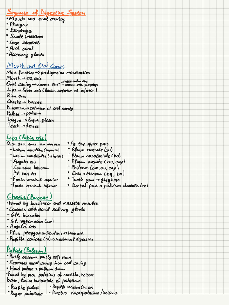 Apparatus Digestorius | PDF