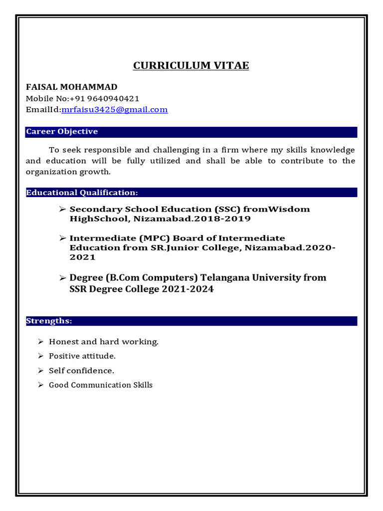 Resume Faisal | PDF