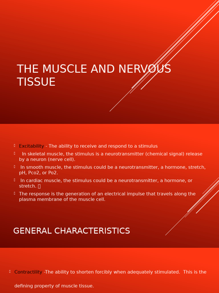 Muscle and Nervous Tissue Overview | PDF | Muscle | Skin