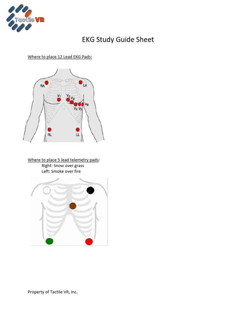 EKG Study Sheet - Tactile VR | PDF | Electrocardiography | Internal Medicine