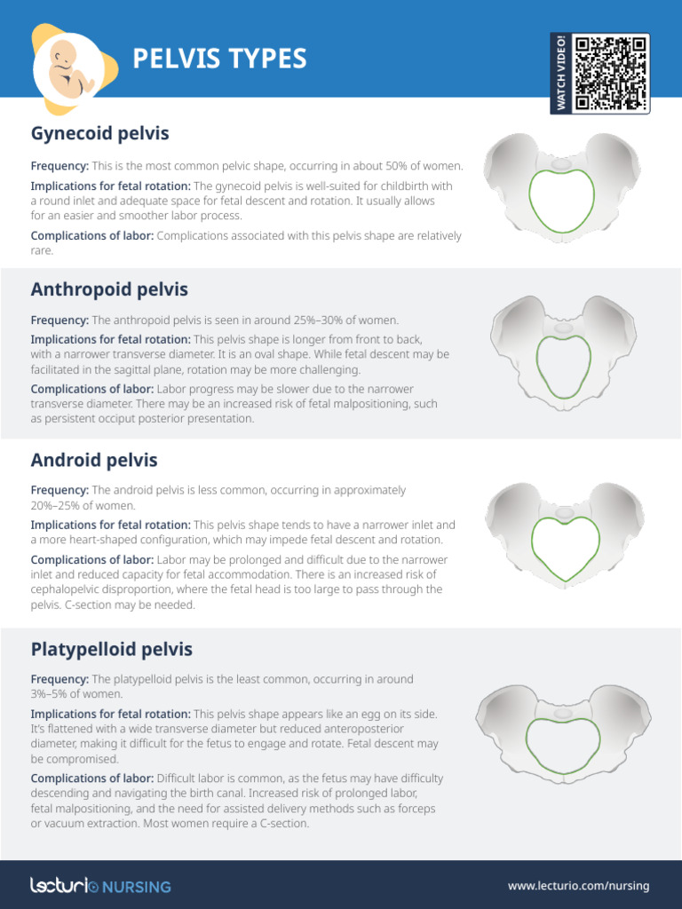 Nursing_CS_Pelvis_Types_01 | PDF