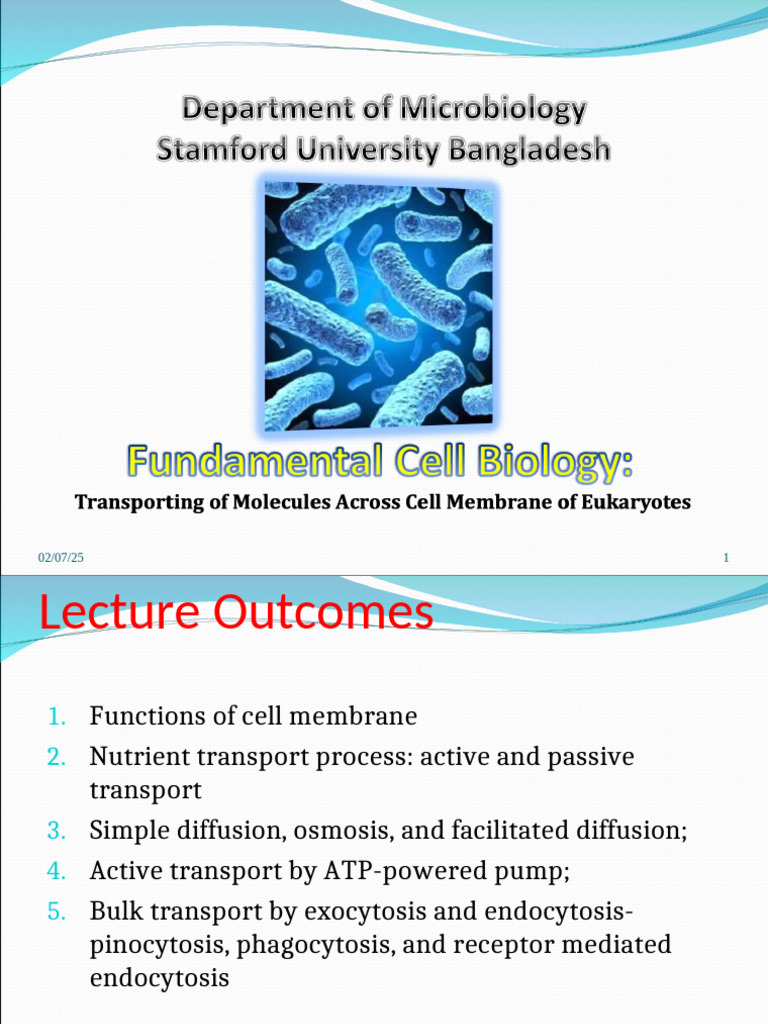 Fundamental Cell Biology Lecture 2 UPDATED | PDF | Cell Membrane | Osmosis