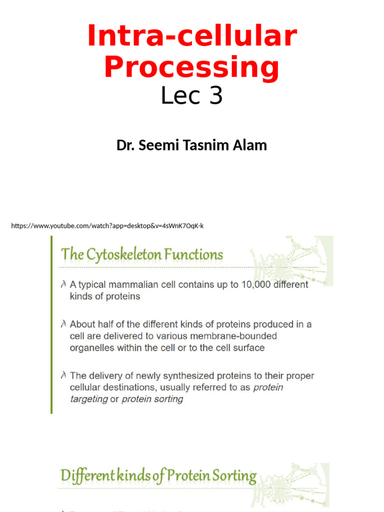 Lec-3 Intracellular-Processing Final | PDF