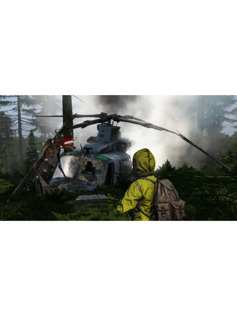 dayz (7) | PDF
