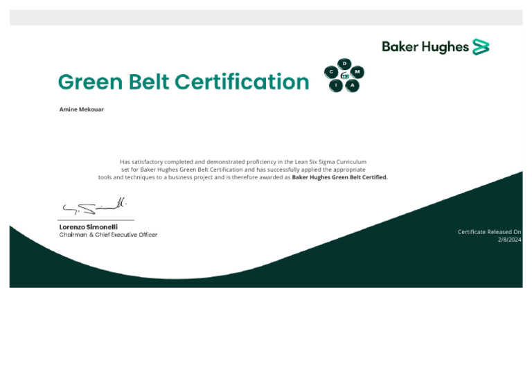 Diploma Green Belt PDF | PDF