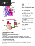 Apostila Precórdio | PDF | Ventrículo (coração) | Átrio (coração)