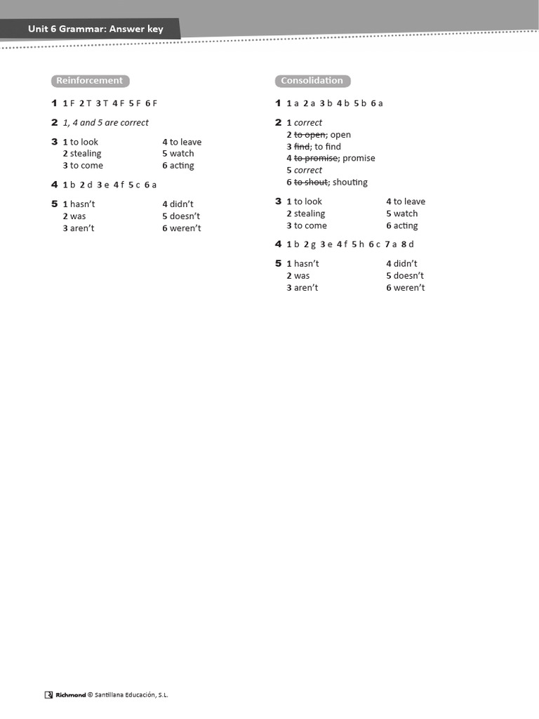 NY4 Grammar Worksheets Unit 6 Answer Key | PDF