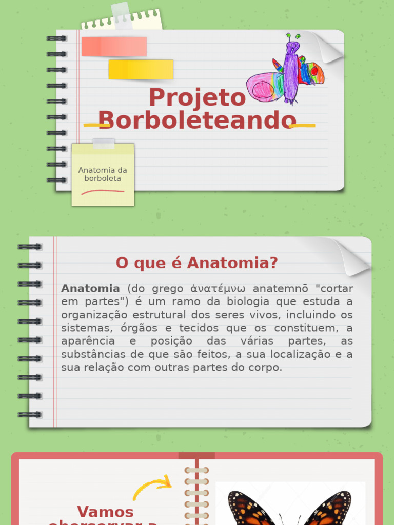Anatomia da Borboleta: Estruturas e Funções | PDF | Anatomia | Corpo humano