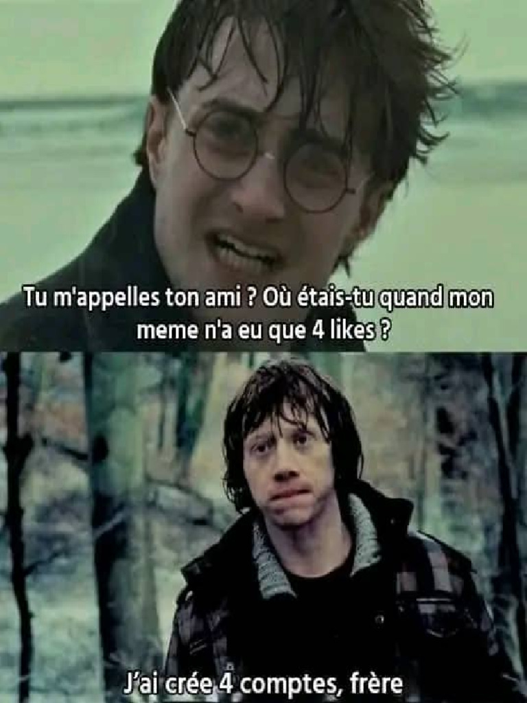 PDF Phoenix 20250207 153408 | PDF