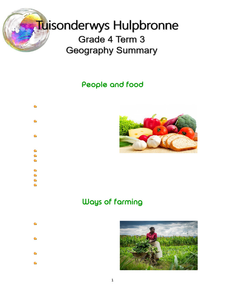 Grade 4 Term 3 Geography Summary | PDF | Foods | Breads