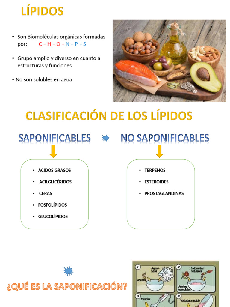 Características y Funciones de los Lípidos | PDF | Lípido | Ácido graso