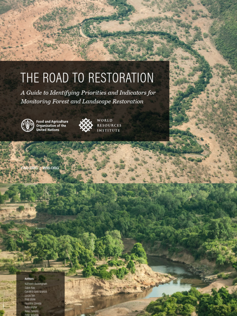 Road of Restoration | PDF | Ecological Restoration | Sustainability