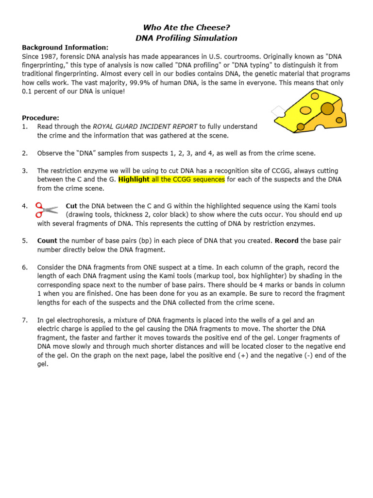 DNA Profiling in Cheese Theft Case | PDF | Dna Profiling | Dna