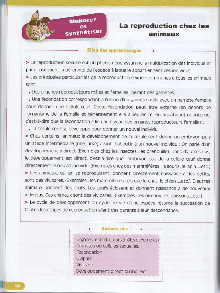 Resume La Reproduction Chez Les Animaux 2college 1 | PDF