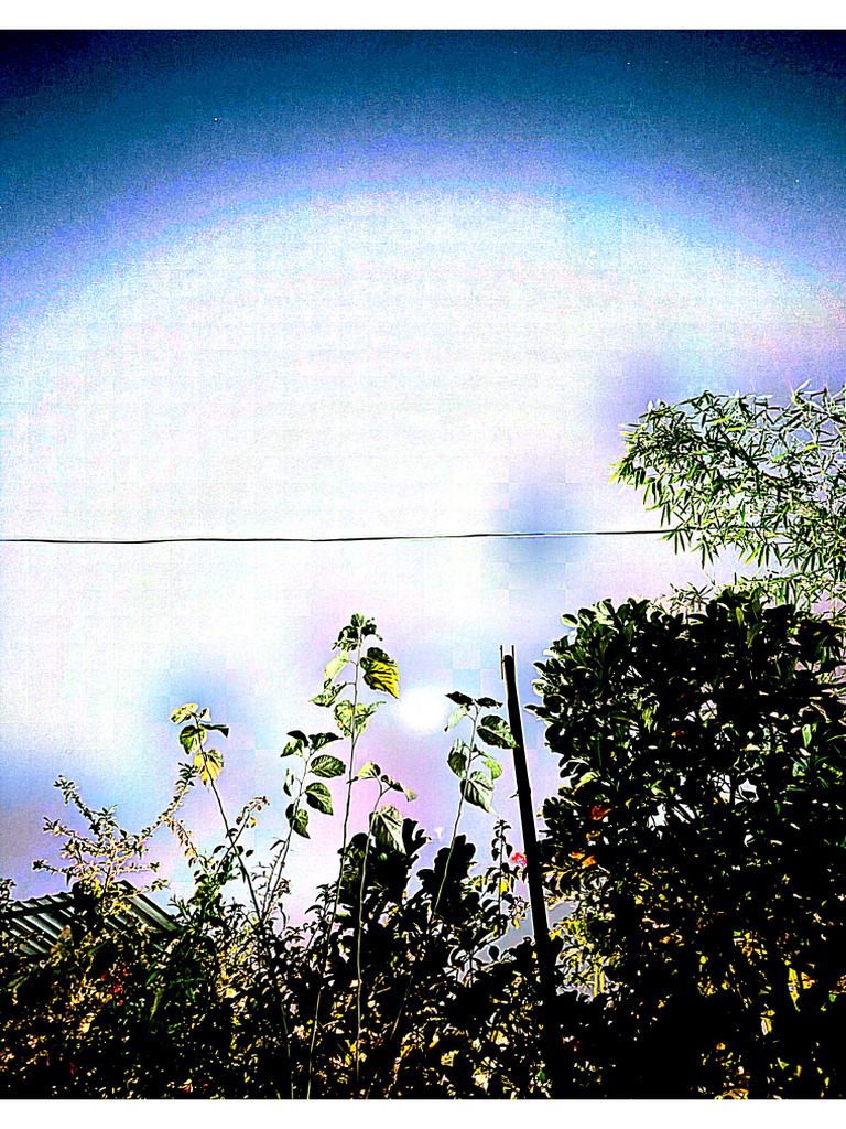 Nature Pic | PDF