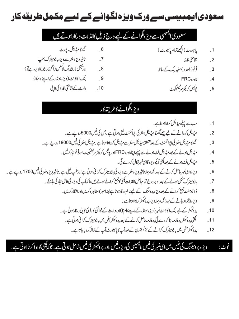Saudi Visa Processing Process | PDF