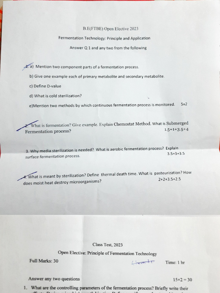 Fermentation Technology CT Papers | PDF