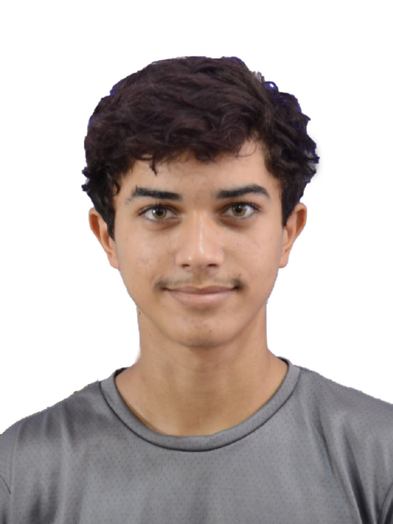 Design Sem Nome - 20250207 - 112358 - 0000 | PDF