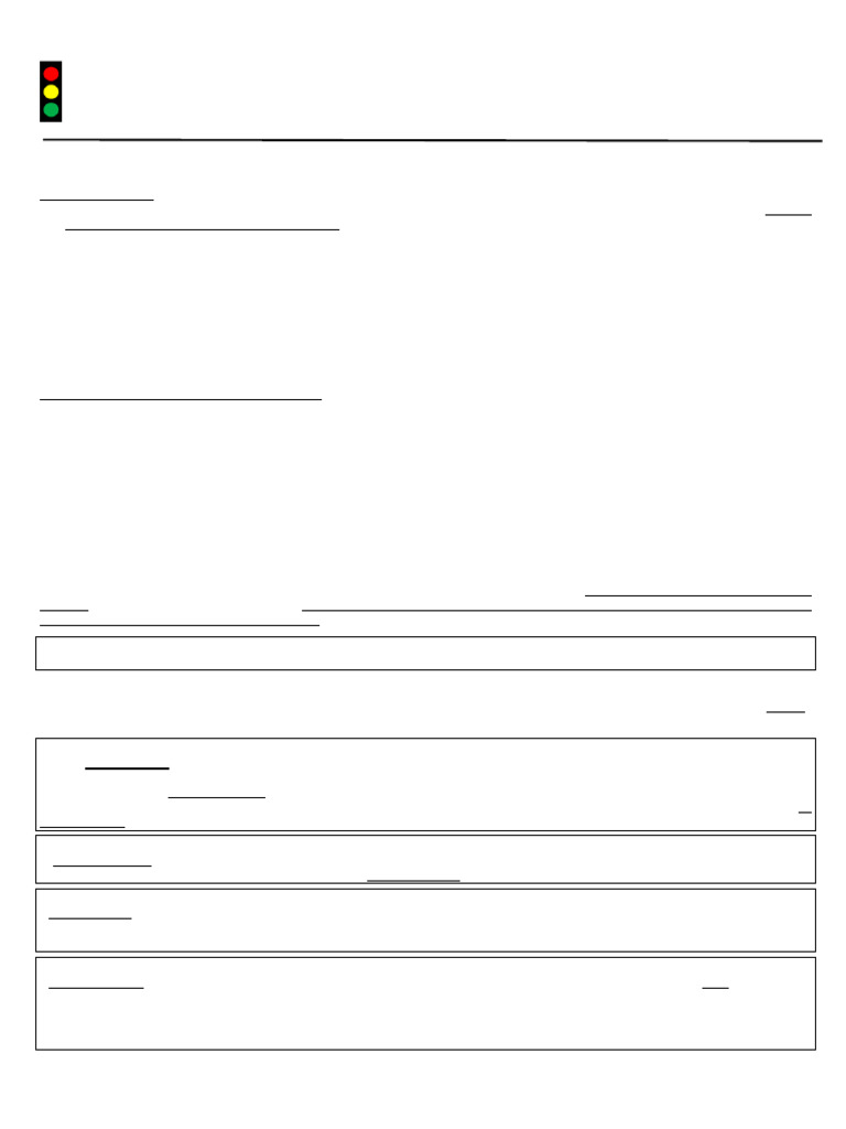 SSI 2020 English Instructions | PDF