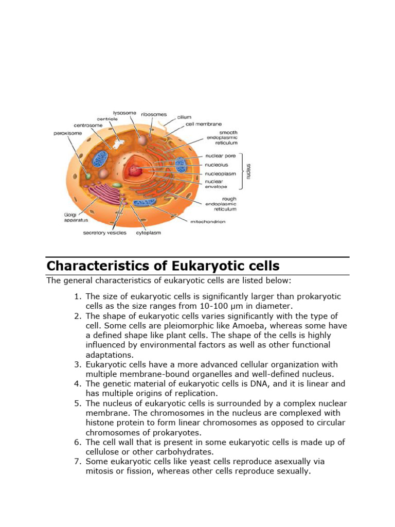 Characteristics and Structure of Eukaryotic Cells | PDF | Cell (Biology ...