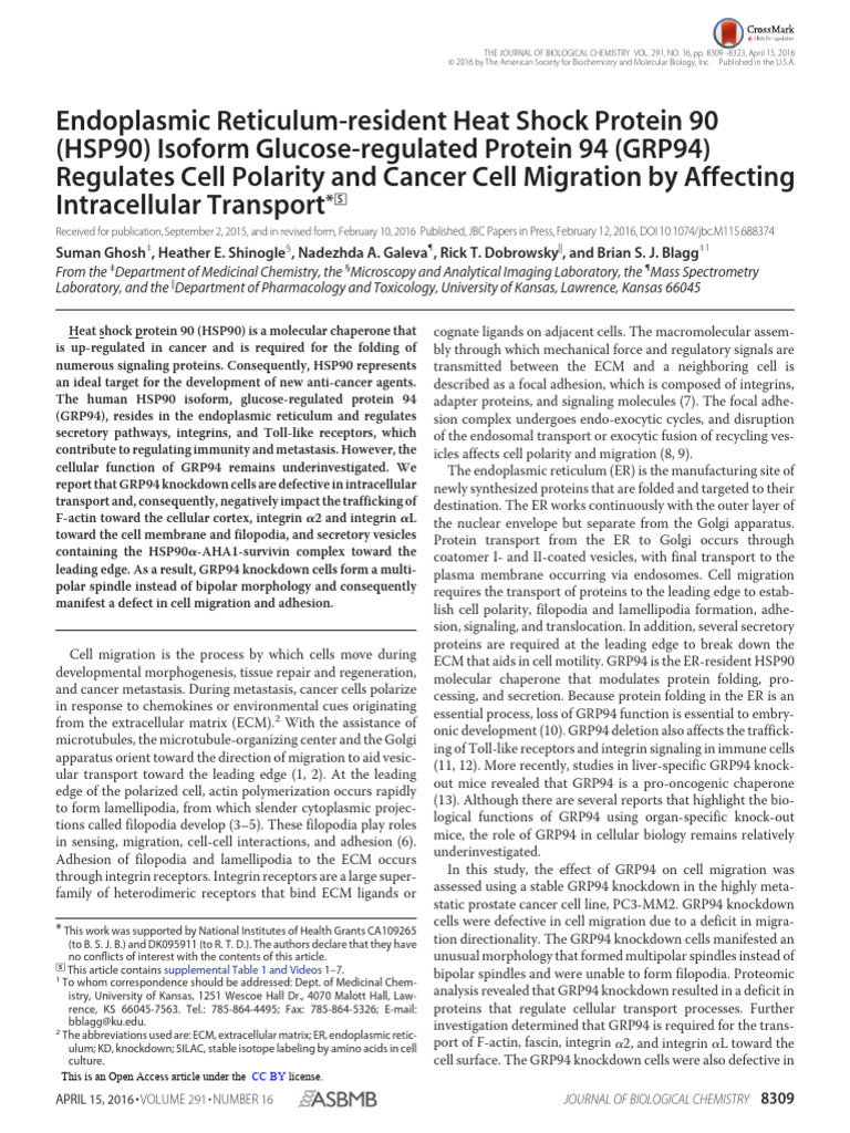 Endoplasmic Reticulum Resident Heat Shock Protein | PDF | Cytoskeleton ...