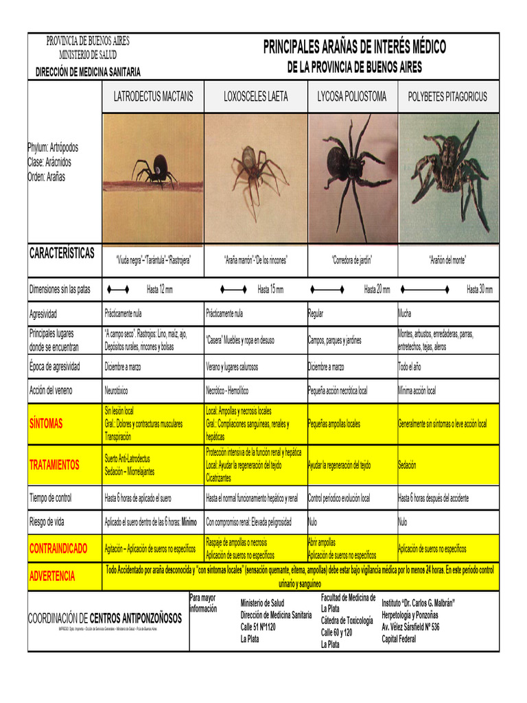 Arañas Provbsas | PDF | Araña