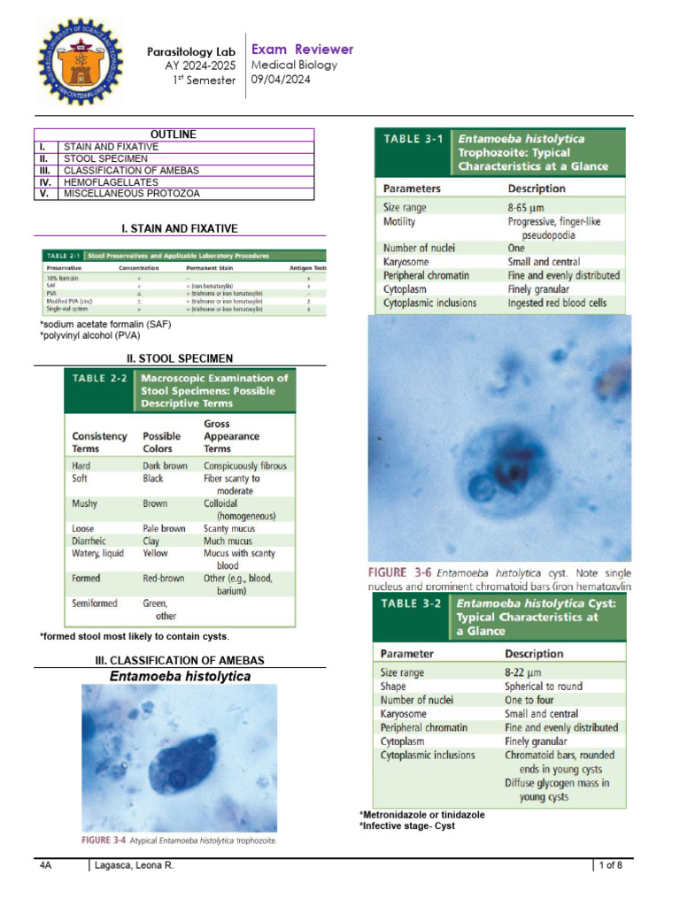 Paras Lab Exam Reviewer 1 | PDF | Parasitology | Microbiology