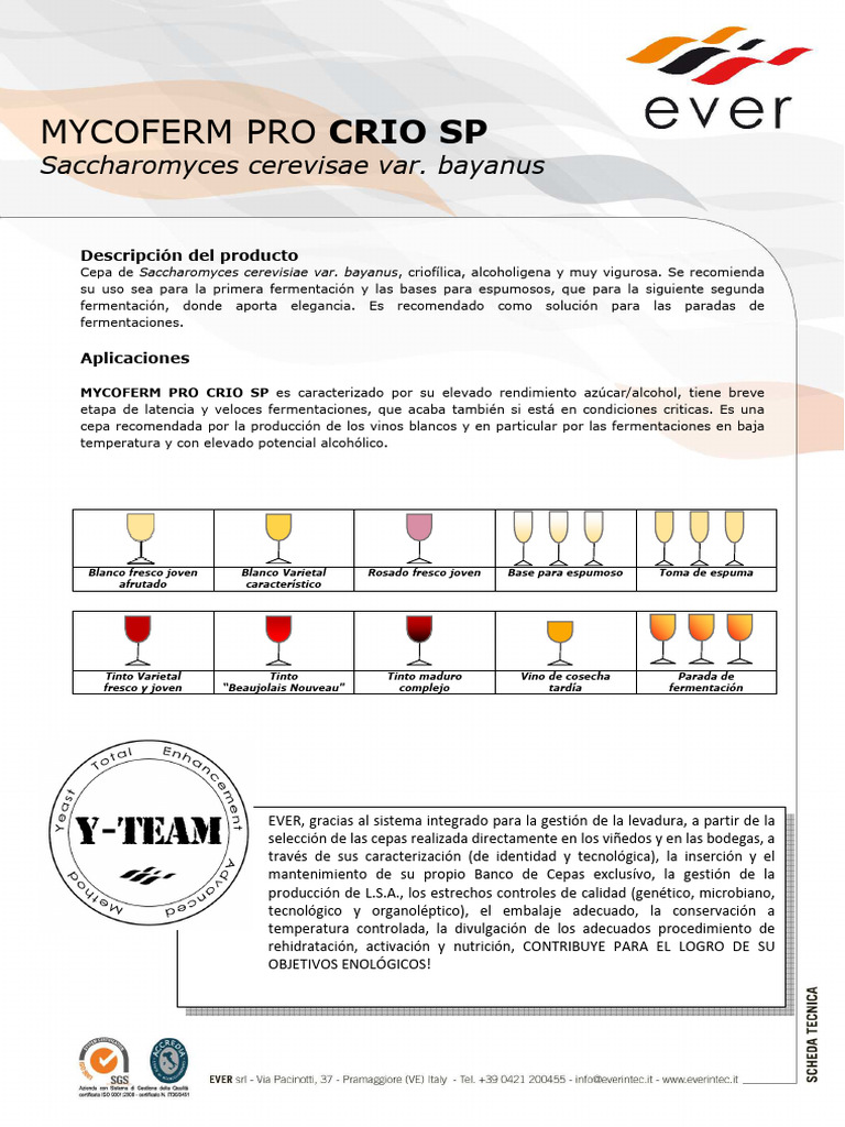 Levadura Crio SP | PDF | Fermentación | Vino