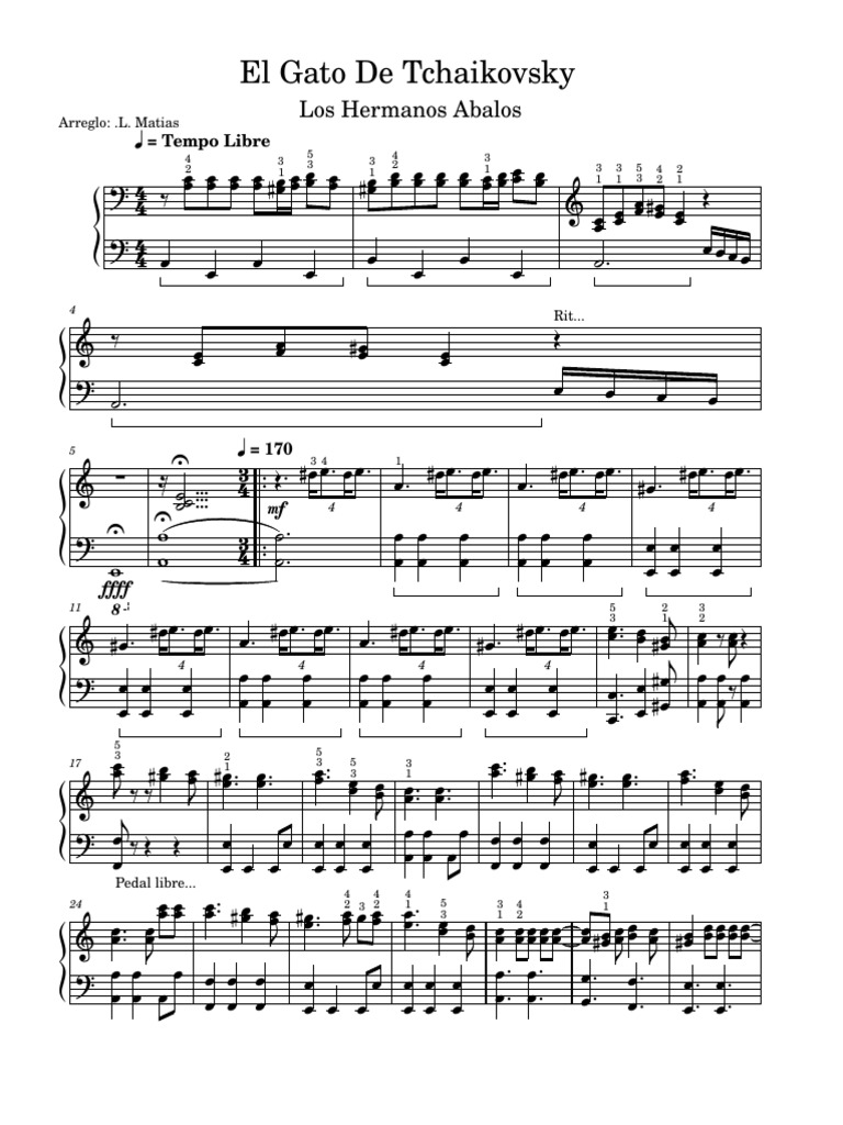El Gato de Tchaikovsky | PDF
