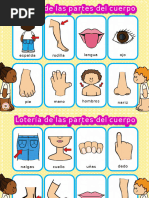 BINGO Partes Del Cuerpo | PDF