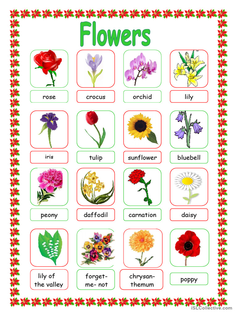FLOWERS | PDF