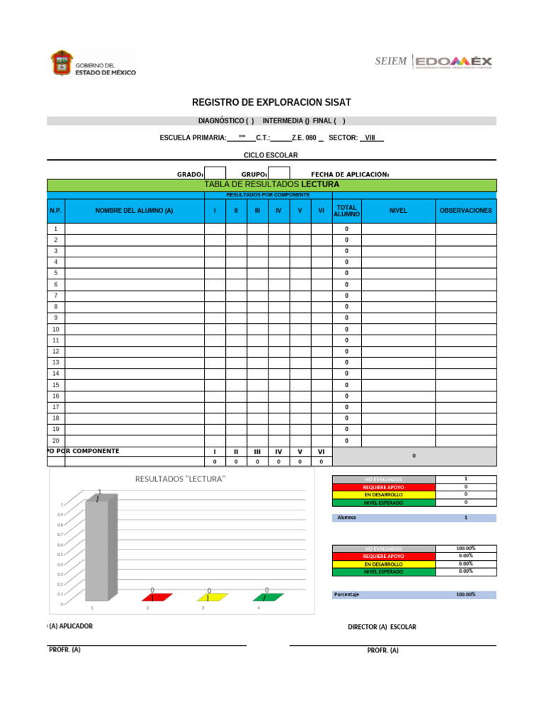 Formato Sisat Aplicacion | PDF