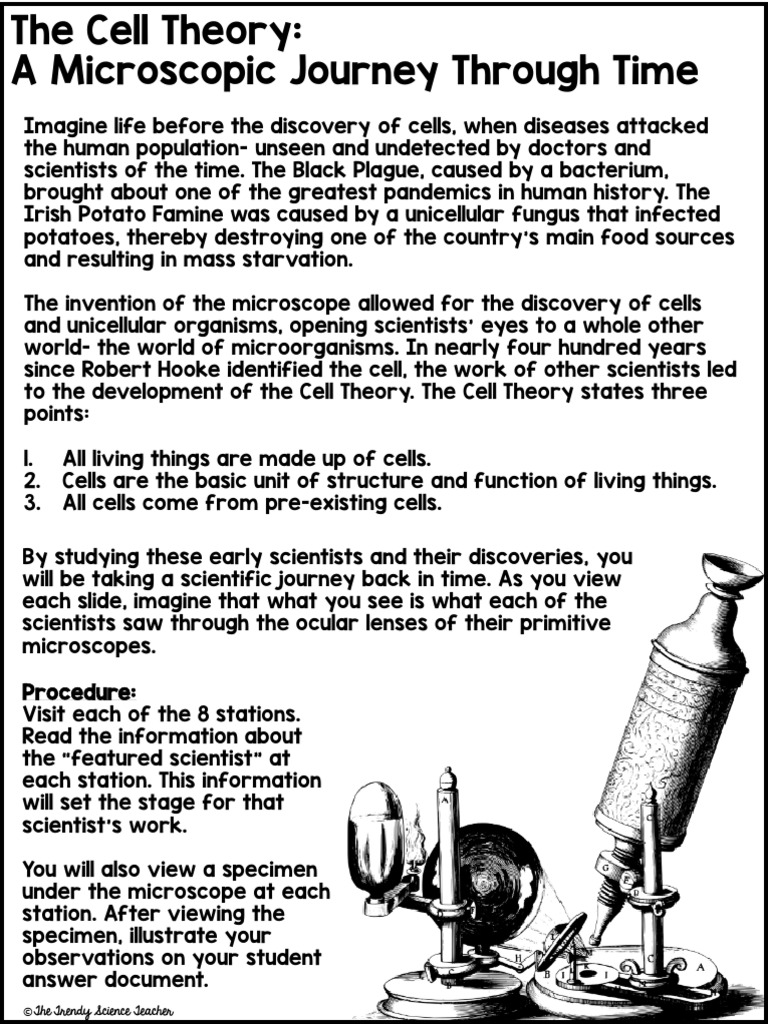 Cell Theory Exploration Stations | PDF | Biology | Life Sciences