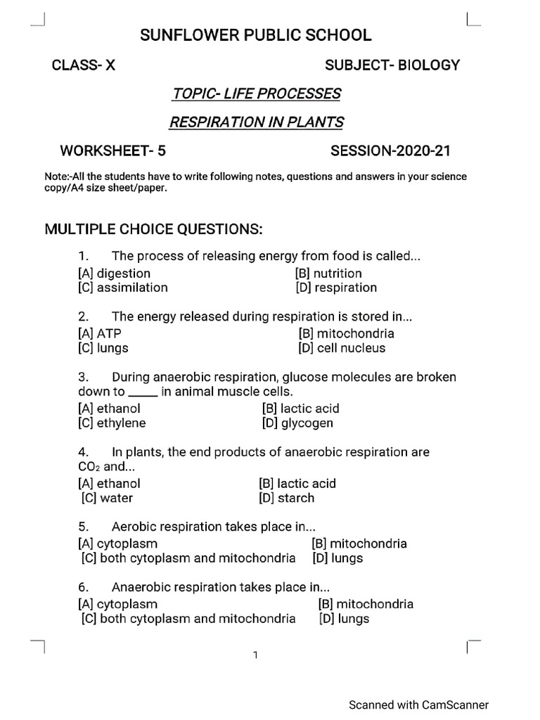 Class 10 Worksheet 5 Respiration in Plants | PDF